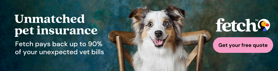 Pet Insurance | Best Pet Insurance Canada - Emma